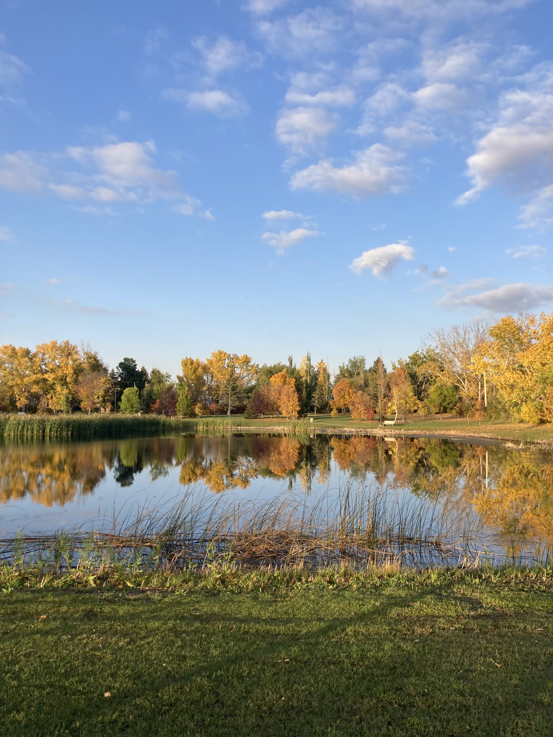Photos - Town of Stoughton